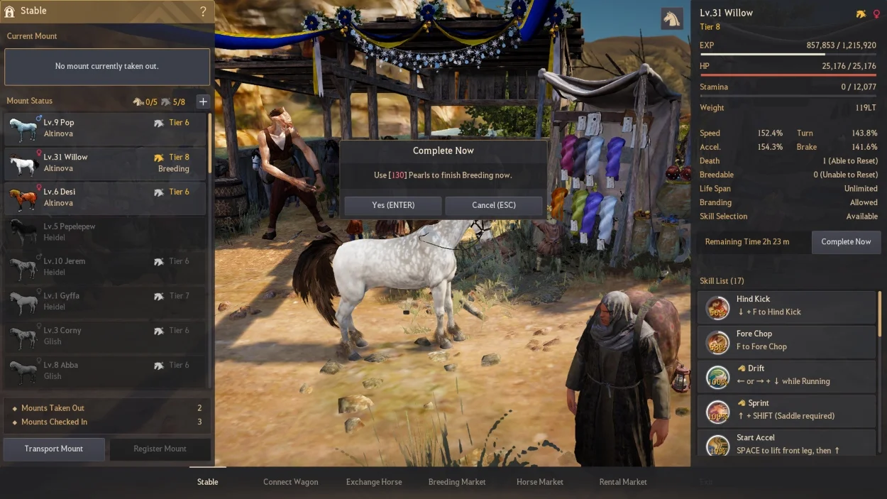 BDO Horse Breeding & Exchange: How to Gain Tiers | GrumpyG