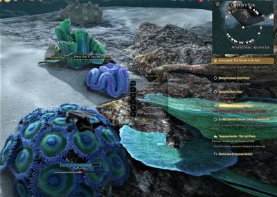 BDO Otter Merchants: Obtain Ship Materials with Iridescent Coral | GrumpyG