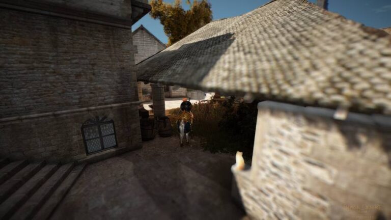 BDO Herald’s Journal: Adventure Log Bookshelf (Rubin’s Diary) | GrumpyG