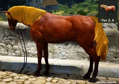BDO Horse Catalog with Images Showing Tier & Coat | GrumpyG