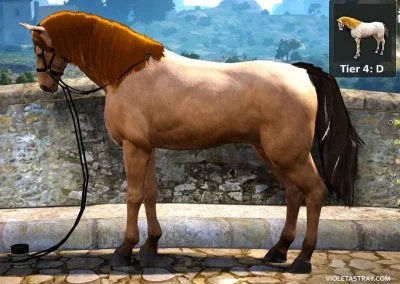 BDO Horse Catalog with Images Showing Tier & Coat | GrumpyG