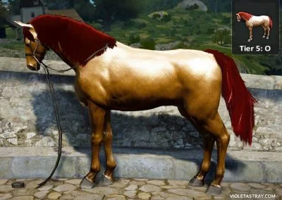 BDO Horse Catalog with Images Showing Tier & Coat | GrumpyG