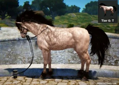 BDO Horse Catalog with Images Showing Tier & Coat | GrumpyG