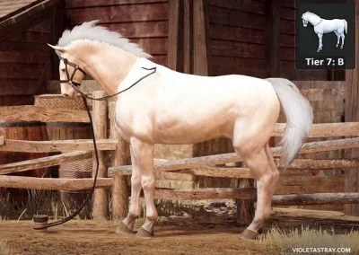 BDO Horse Catalog with Images Showing Tier & Coat | GrumpyG