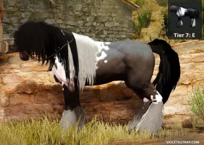 BDO Horse Catalog with Images Showing Tier & Coat | GrumpyG