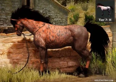BDO Horse Catalog with Images Showing Tier & Coat | GrumpyG