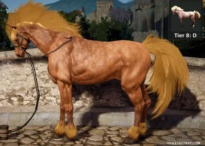 BDO Horse Catalog with Images Showing Tier & Coat | GrumpyG