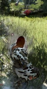 BDO Hunting Guide for Beginners | GrumpyG