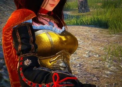BDO Craftable Costumes in Heidel (Free Outfits) | GrumpyG