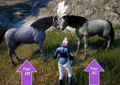 BDO Wild Horse Tiers with Appearance & Coats | GrumpyG