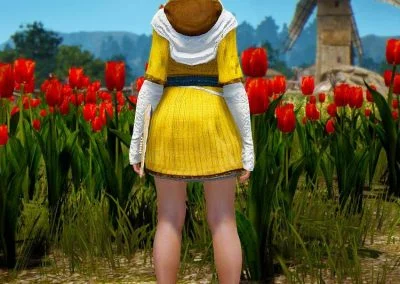 BDO Craftable Costumes (Free Outfits from Level 1 Mills) | GrumpyG