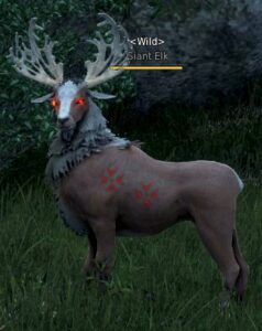 BDO Hunting Guide for Beginners | GrumpyG
